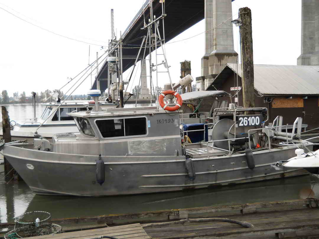 Salmon Gillnetter