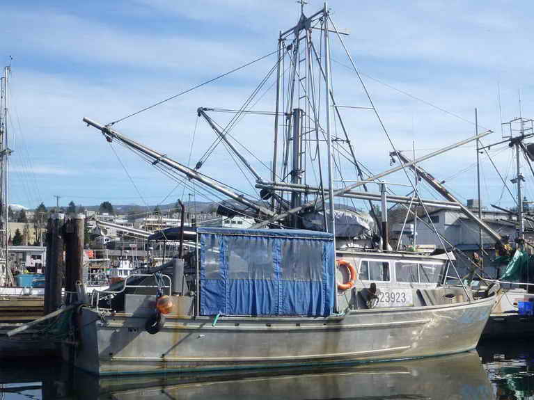 Commercial Prawn Boats For Sale | Prawn Boat Sales | Commercial Prawn ...