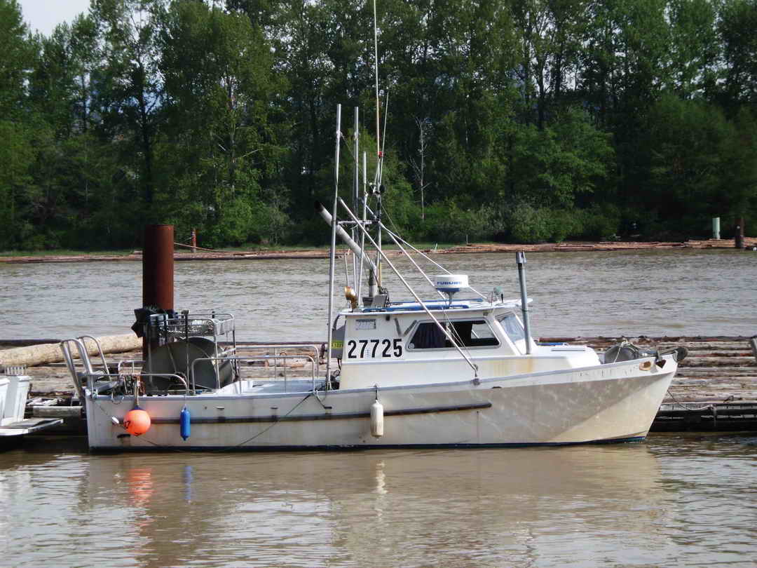 Commercial Salmon Gillnetter