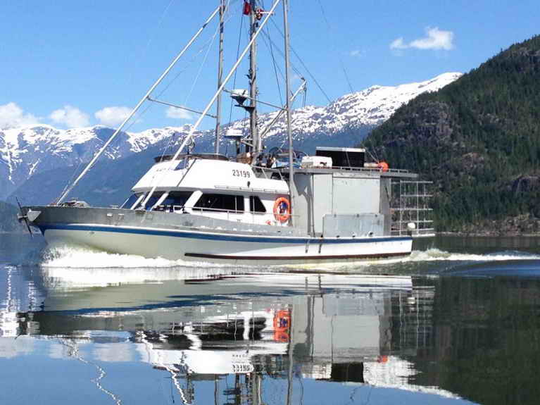 Deltaga Salmon Gillnetter