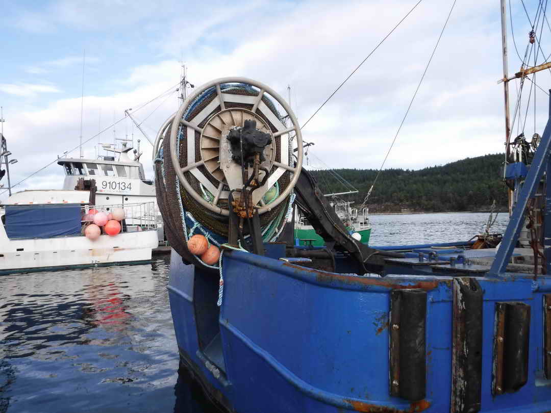Tuna Shrimp Trawler Longliner