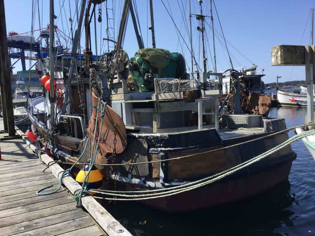 Freezer Troller Longliner Shrimp Trawler