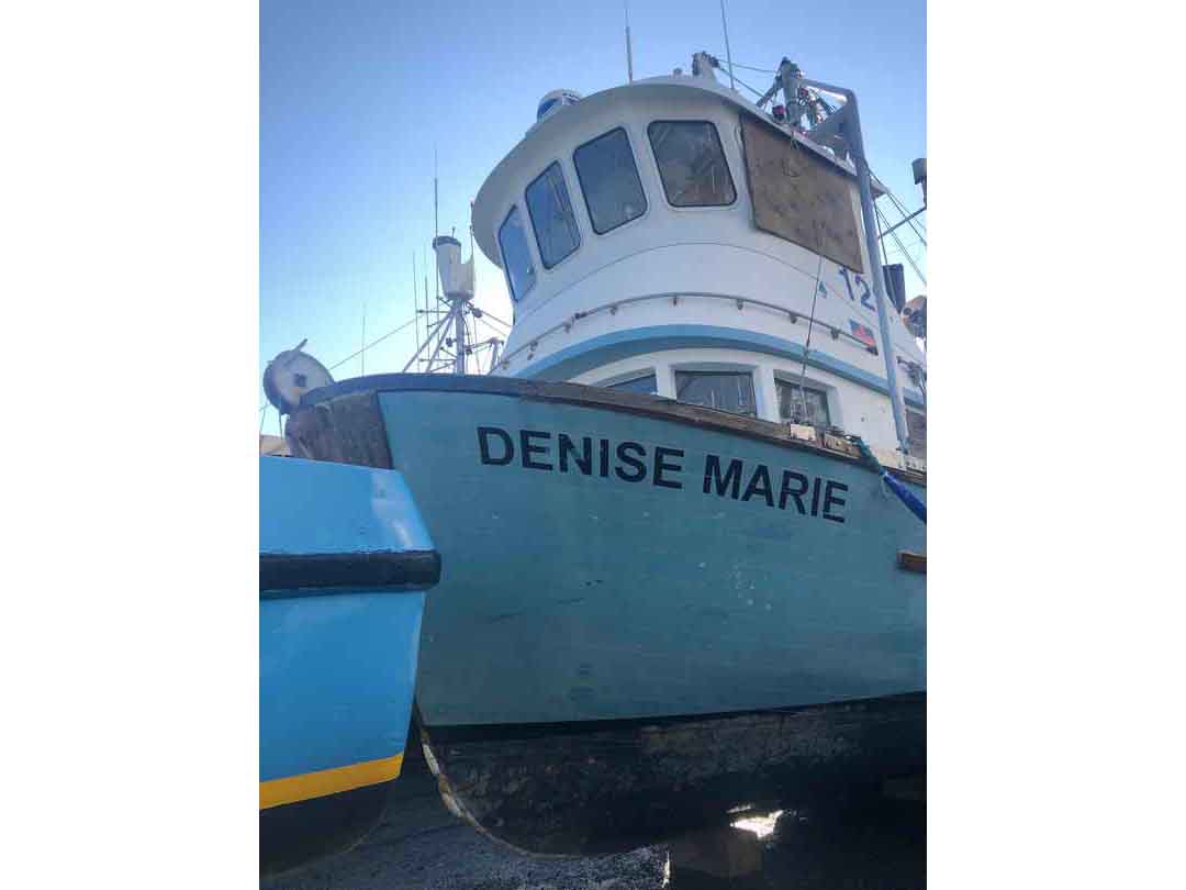 Delta Leclercq Seiner