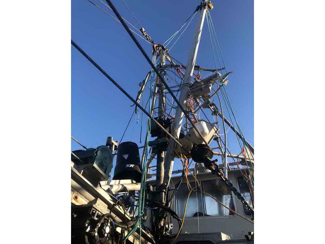 Delta Leclercq Seiner