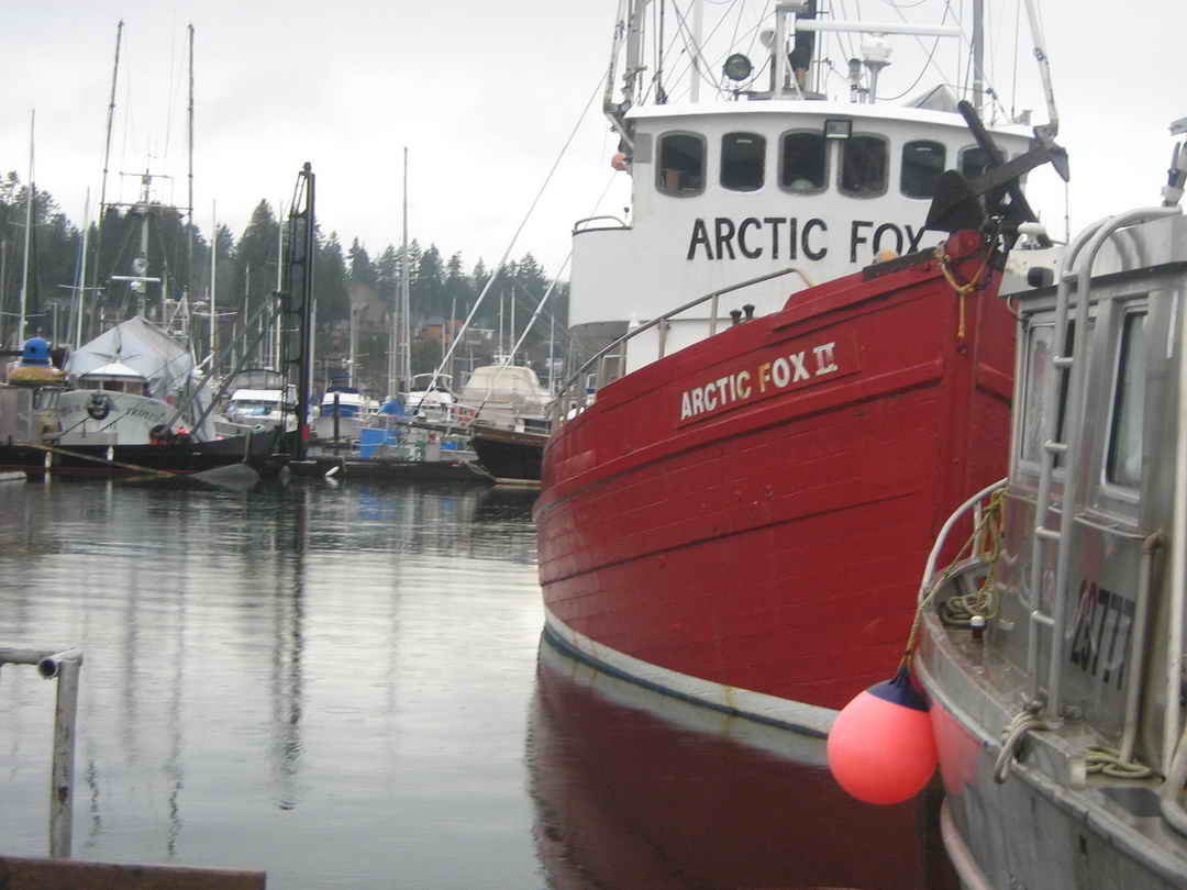 Commercial Fishing Tuna Troller