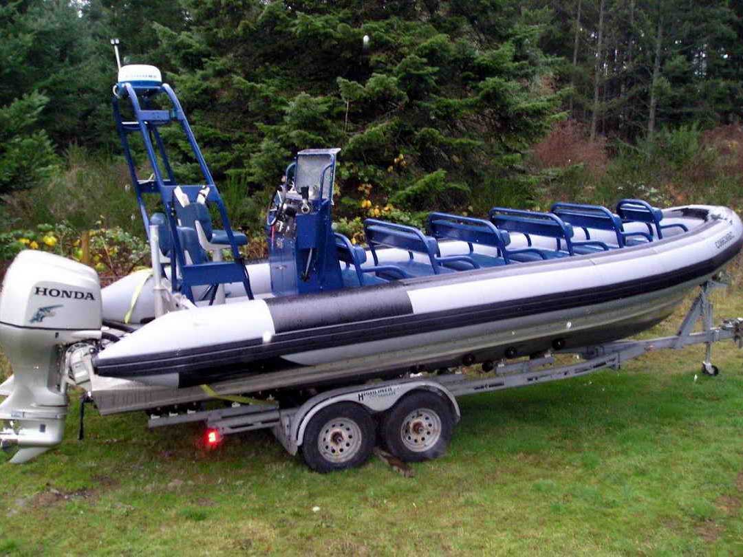 Pontoon Rigid Inflatable Boat