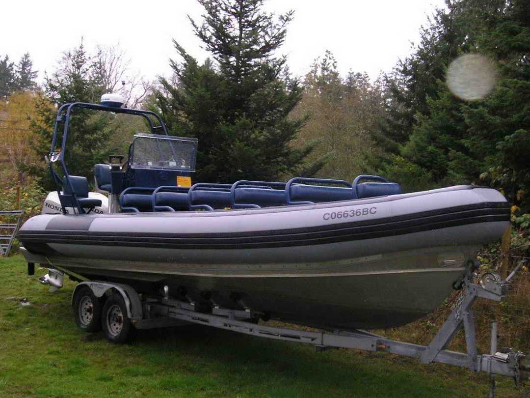 Pontoon Rigid Inflatable Boat