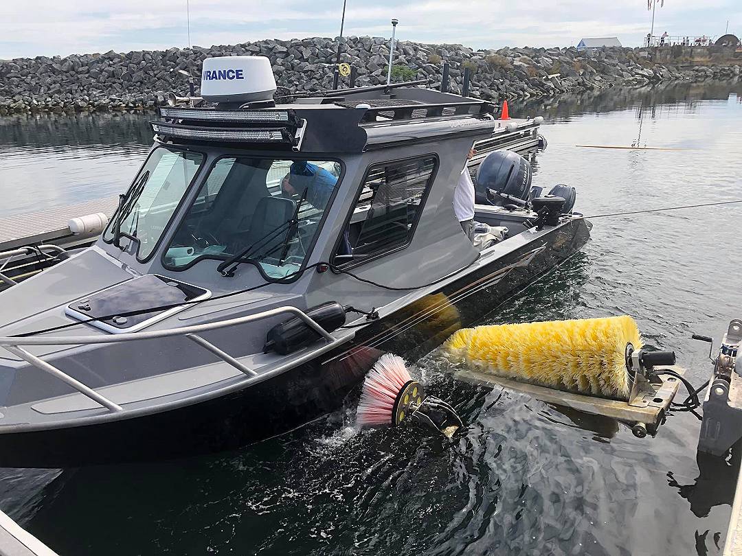 Aluminum Coastal Cuddy