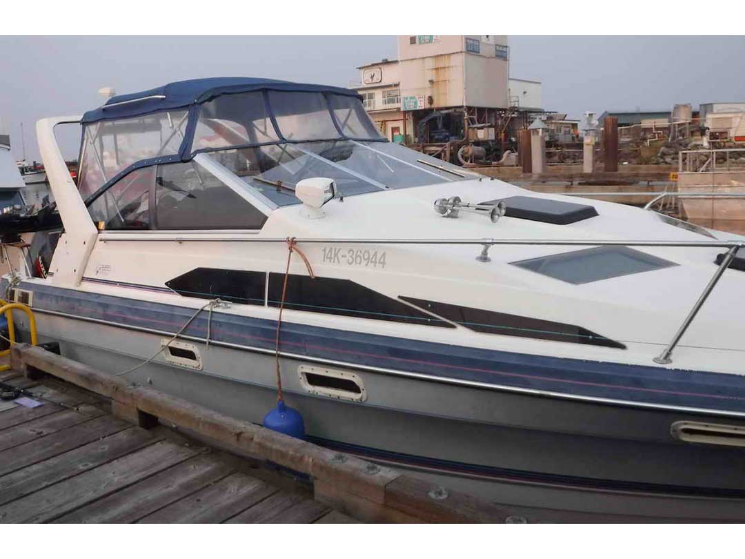 Bayliner 2655 Sunbridge